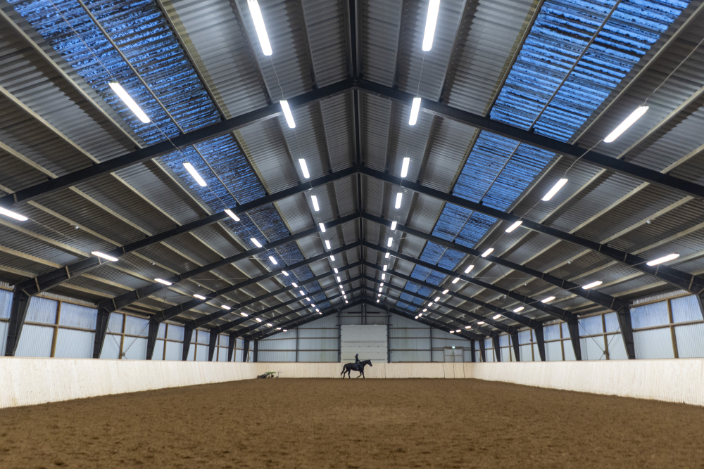 LBTU Zirgkopības mācību centrs "Mušķi" | LBTU