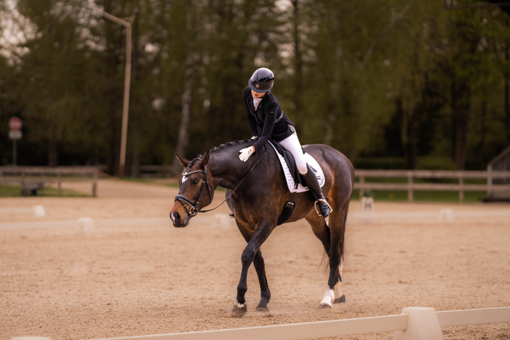 LBTU Zirgkopības mācību centrs "Mušķi" | LBTU